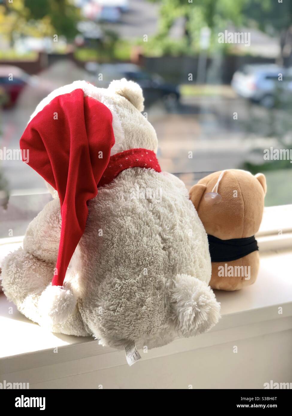 Red Teddy Bear Counter