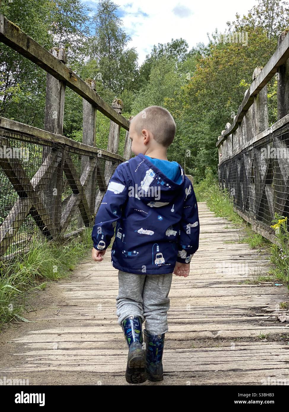 Bridge grass hi-res stock photography and images - Alamy