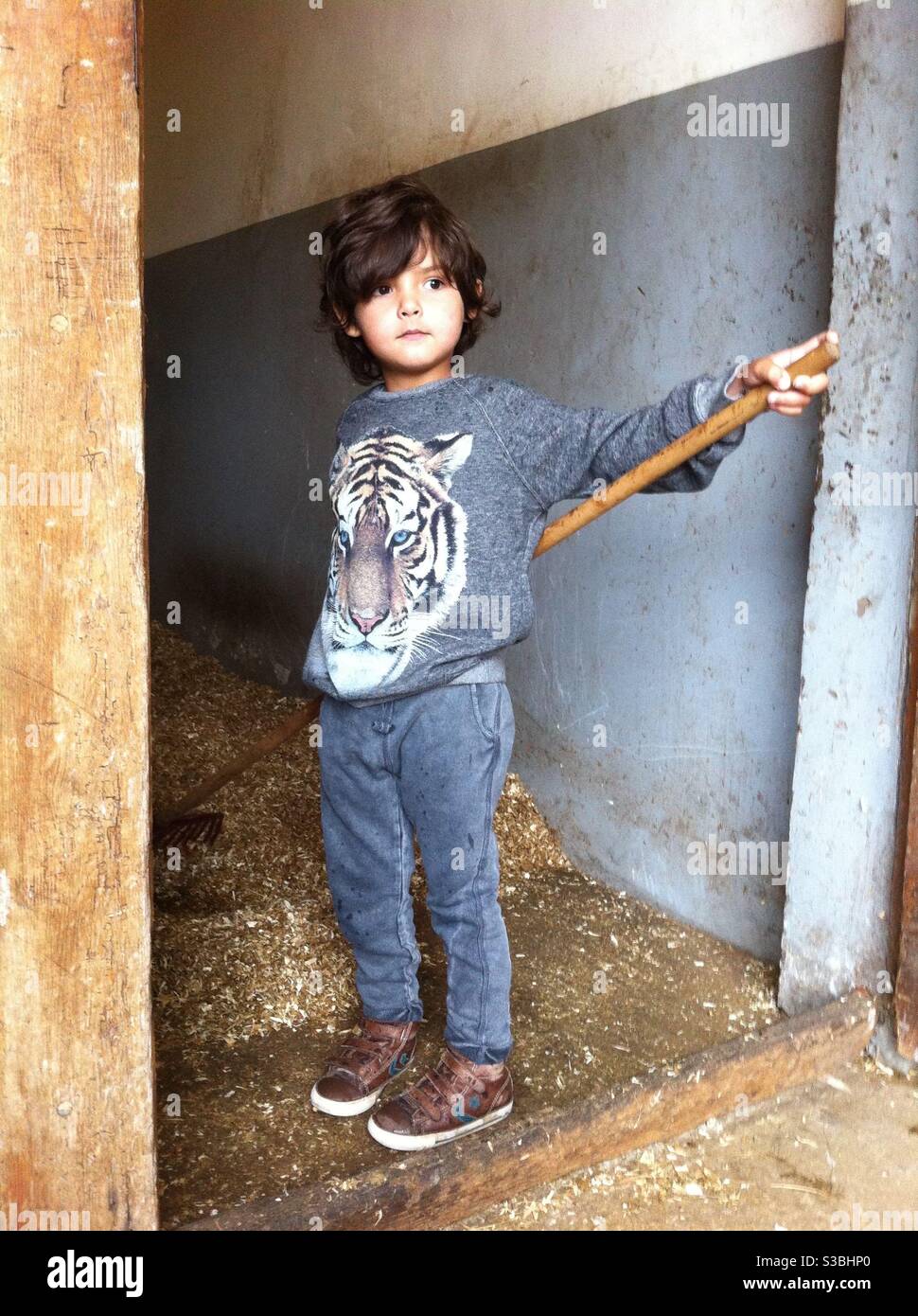 Stable boy hi-res stock photography and images - Alamy