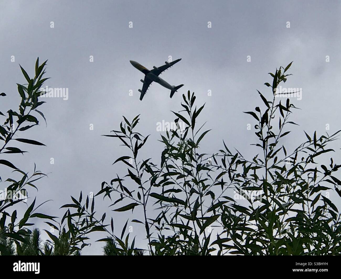 Plane in nature hi-res stock photography and images - Alamy