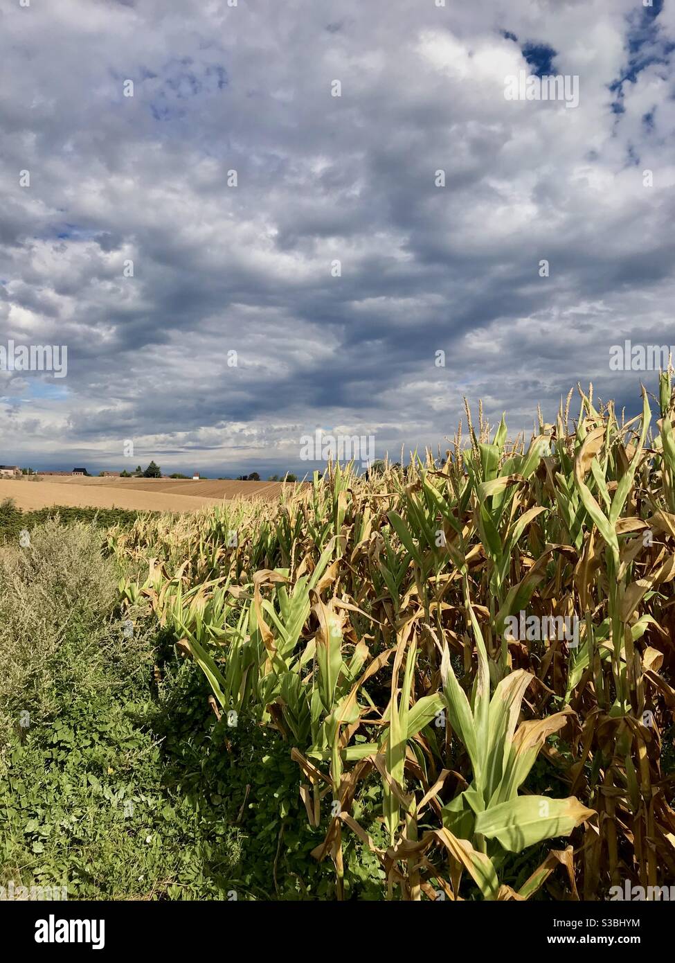 Dark field sky hi-res stock photography and images - Alamy