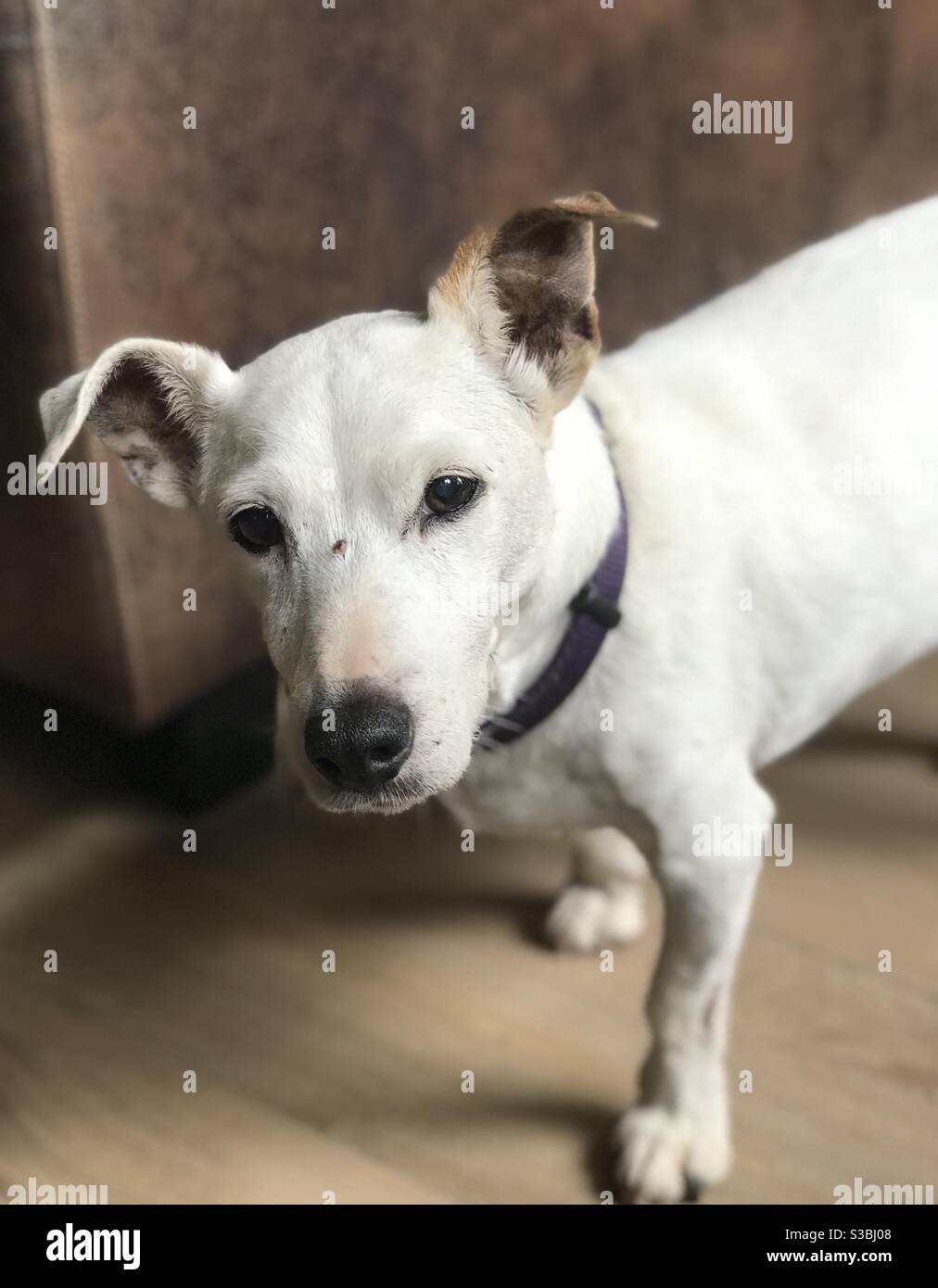 The old nice hi-res stock photography and images - Alamy