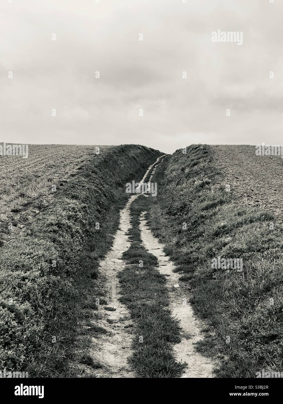 Path small beautiful hi-res stock photography and images - Alamy