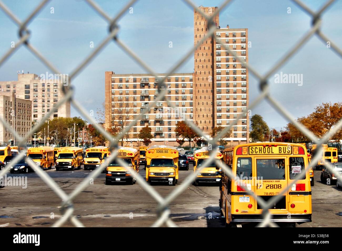 Yellow school buses coney island hi-res stock photography and images ...