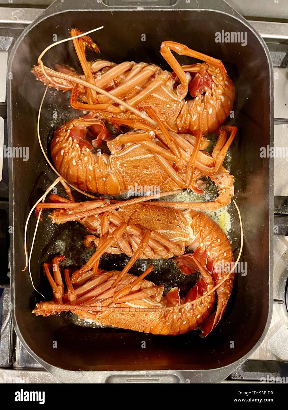 Rock lobsters hi-res stock photography and images - Alamy