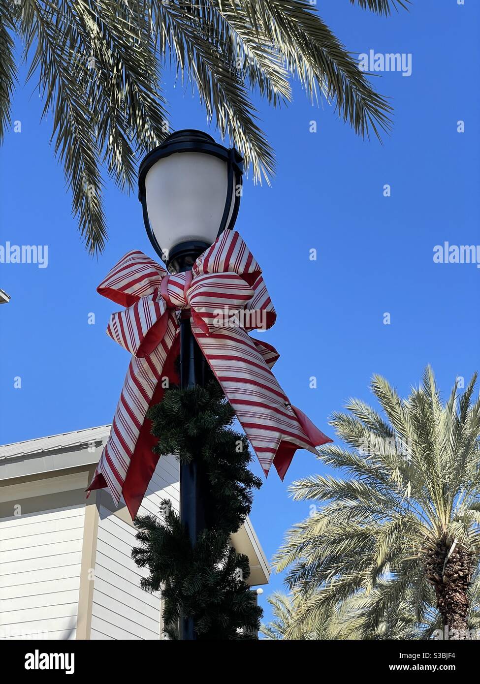 Light pole with Christmas bow and palm trees Stock Photo - Alamy