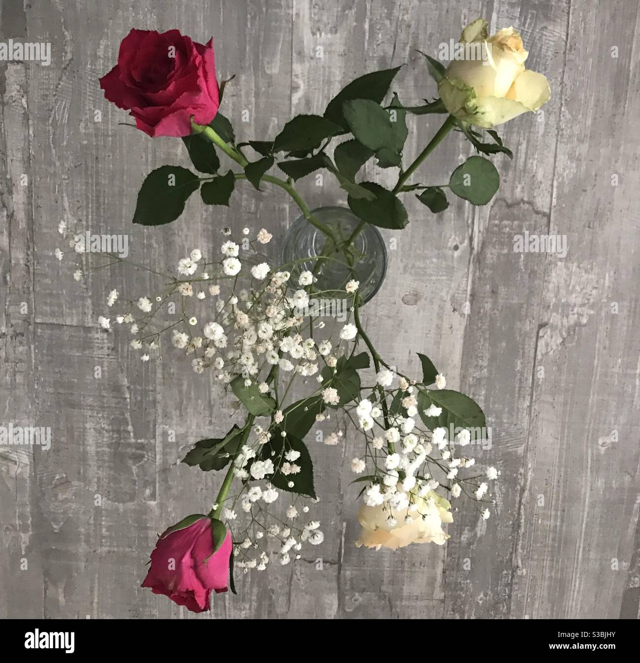 Fresh roses and gypsophila in a glass Stock Photo - Alamy