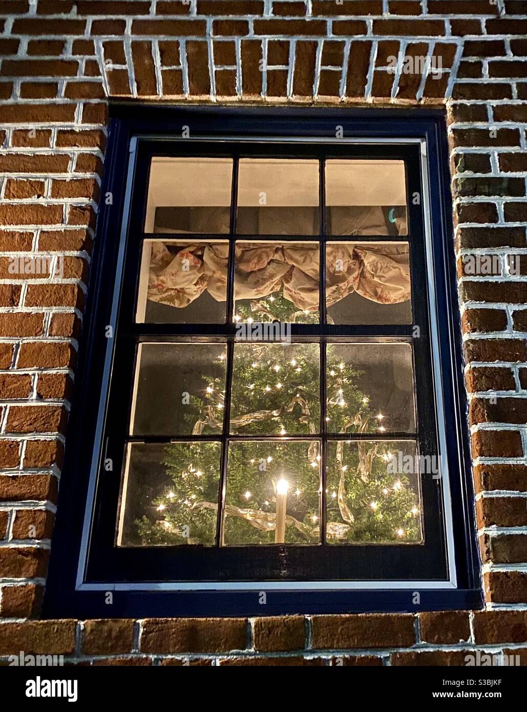Tree in window hi-res stock photography and images - Alamy