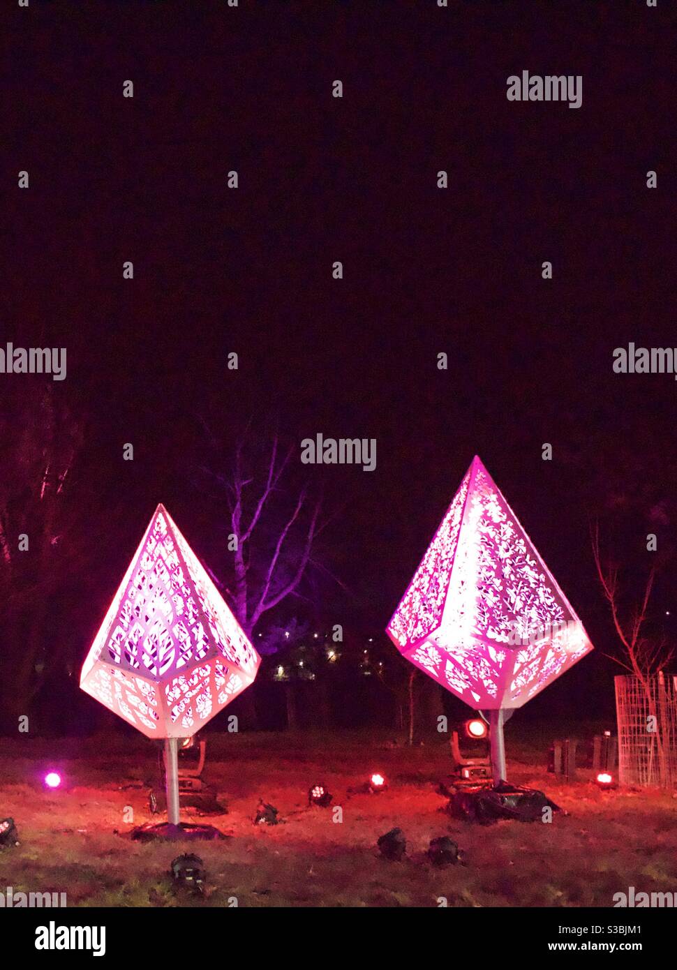 Tree shaped lights at Morton Arboretum during a show in the winter ...