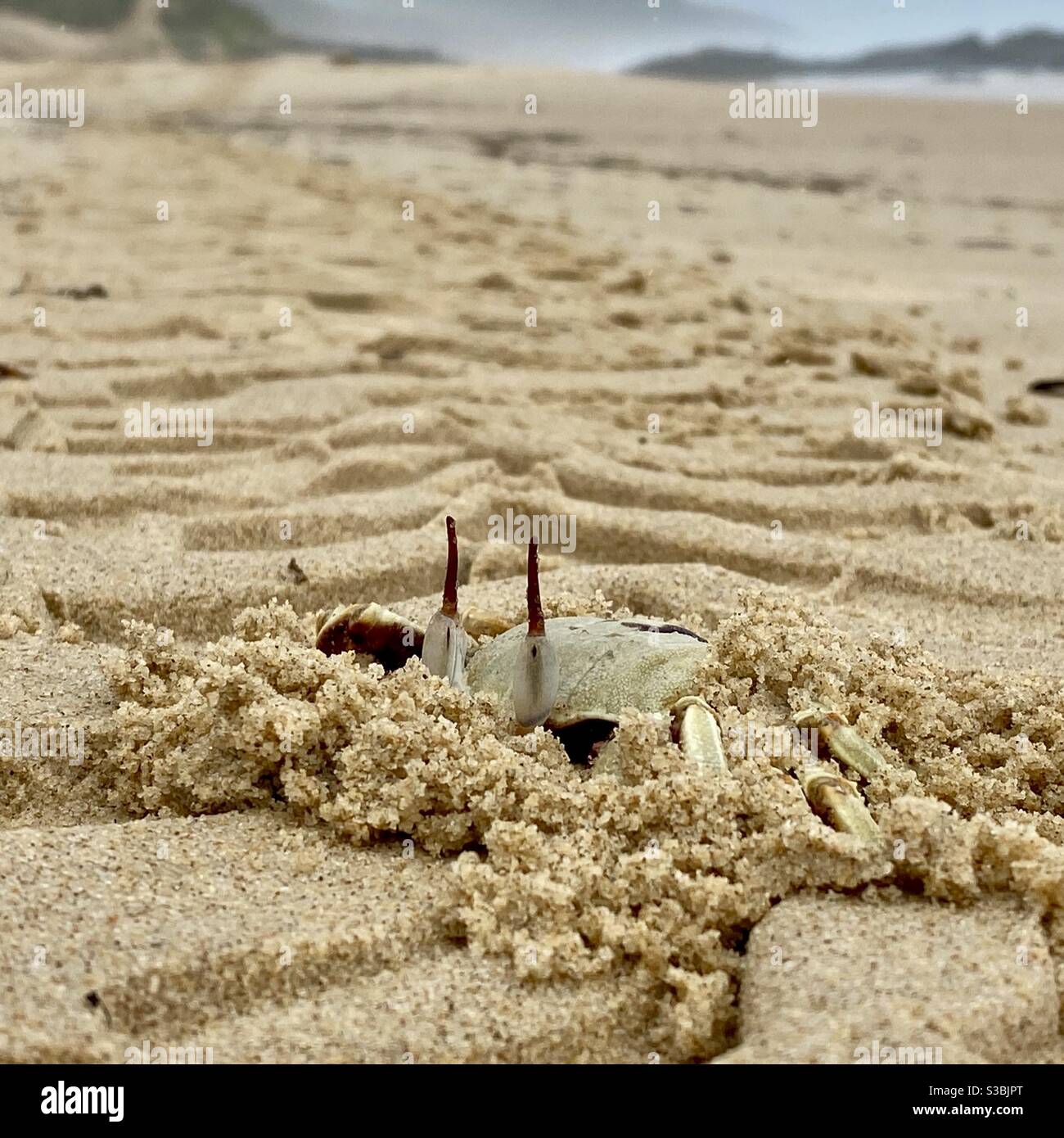 Has half buried in the sand hi-res stock photography and images - Alamy
