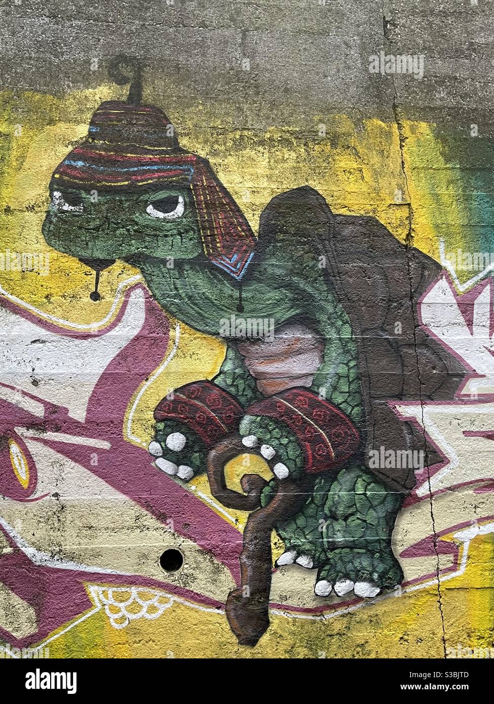 Graffiti turtle hi-res stock photography and images - Alamy