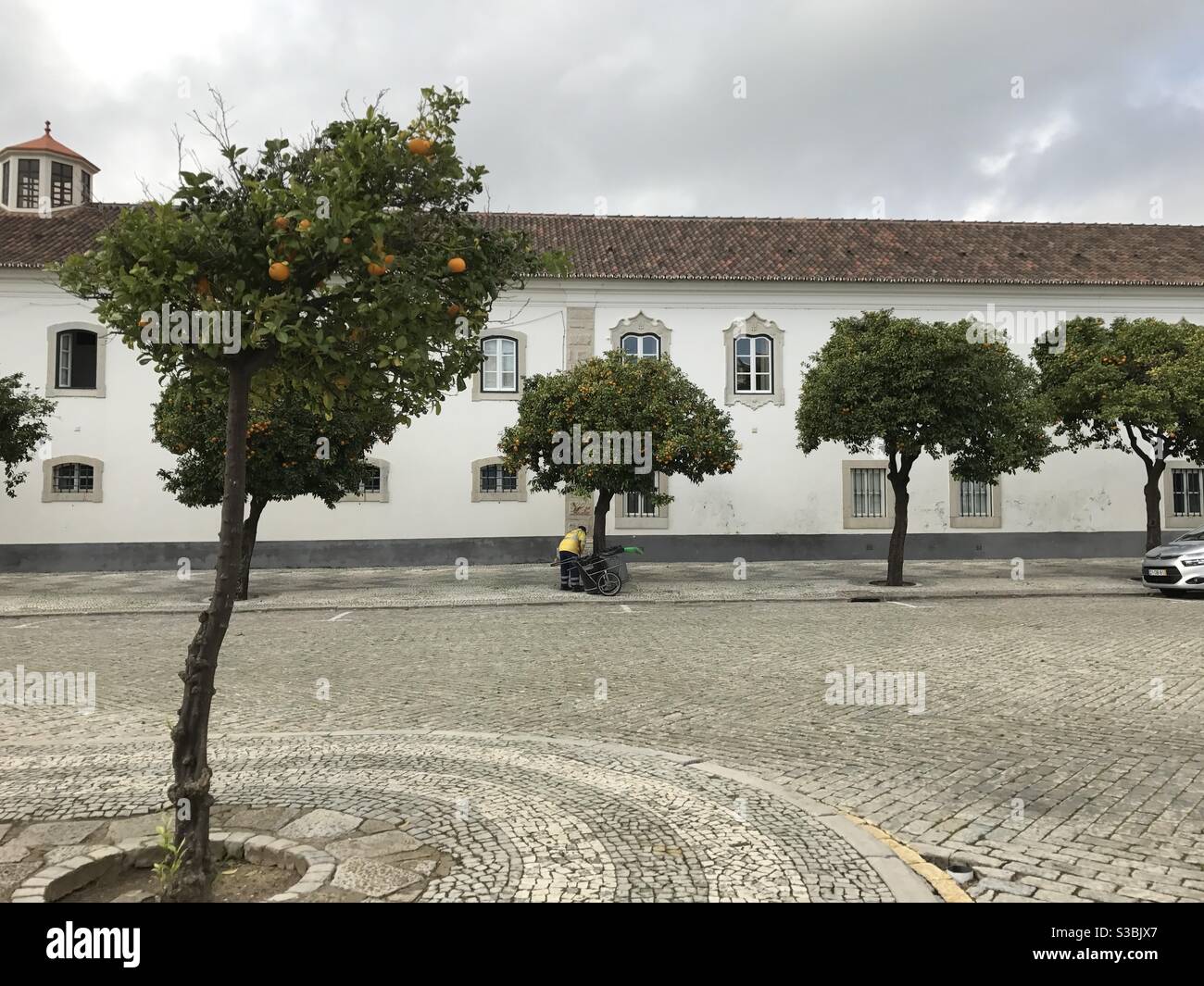 Portuguese fruit trees hi-res stock photography and images - Alamy