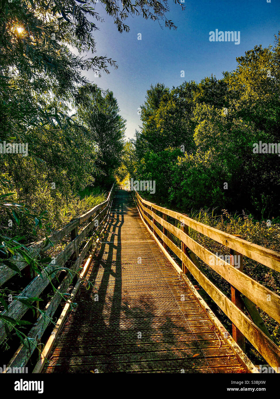 Footpathway hi-res stock photography and images - Alamy
