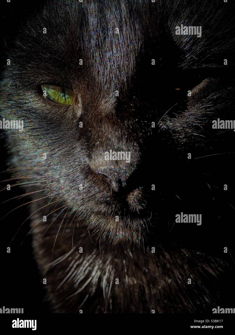 Mysterious look hi-res stock photography and images - Alamy