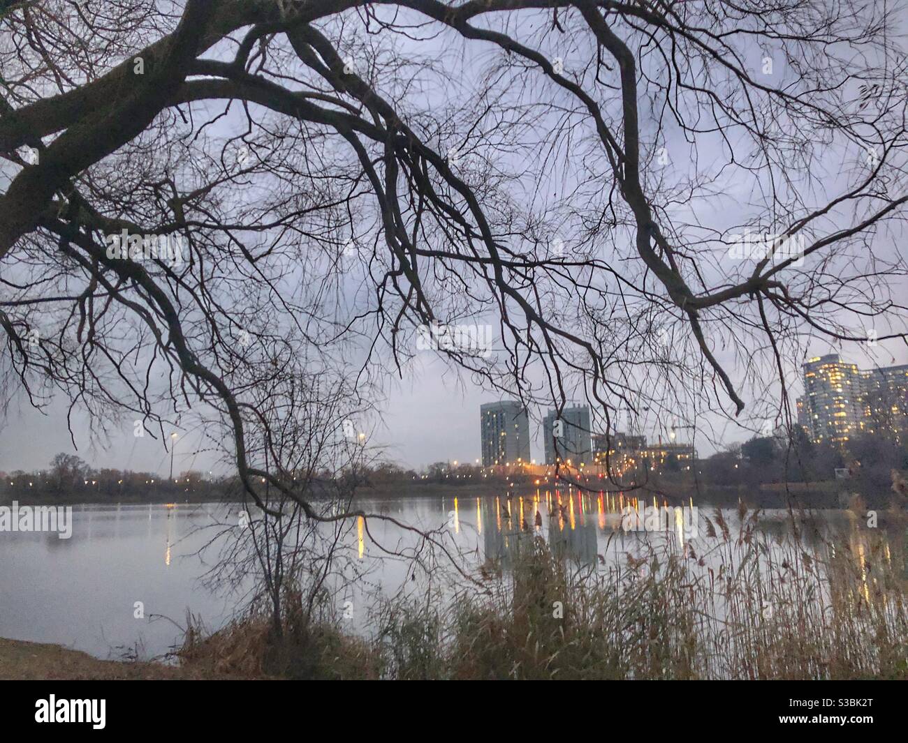 Reflections on the pond Stock Photo - Alamy