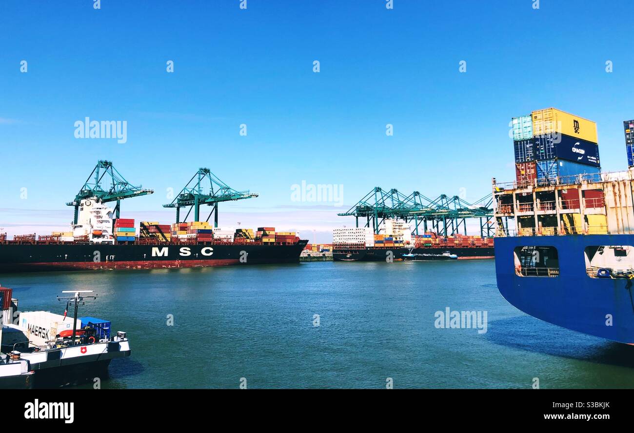 Container ships in a shipping yard Stock Photo - Alamy