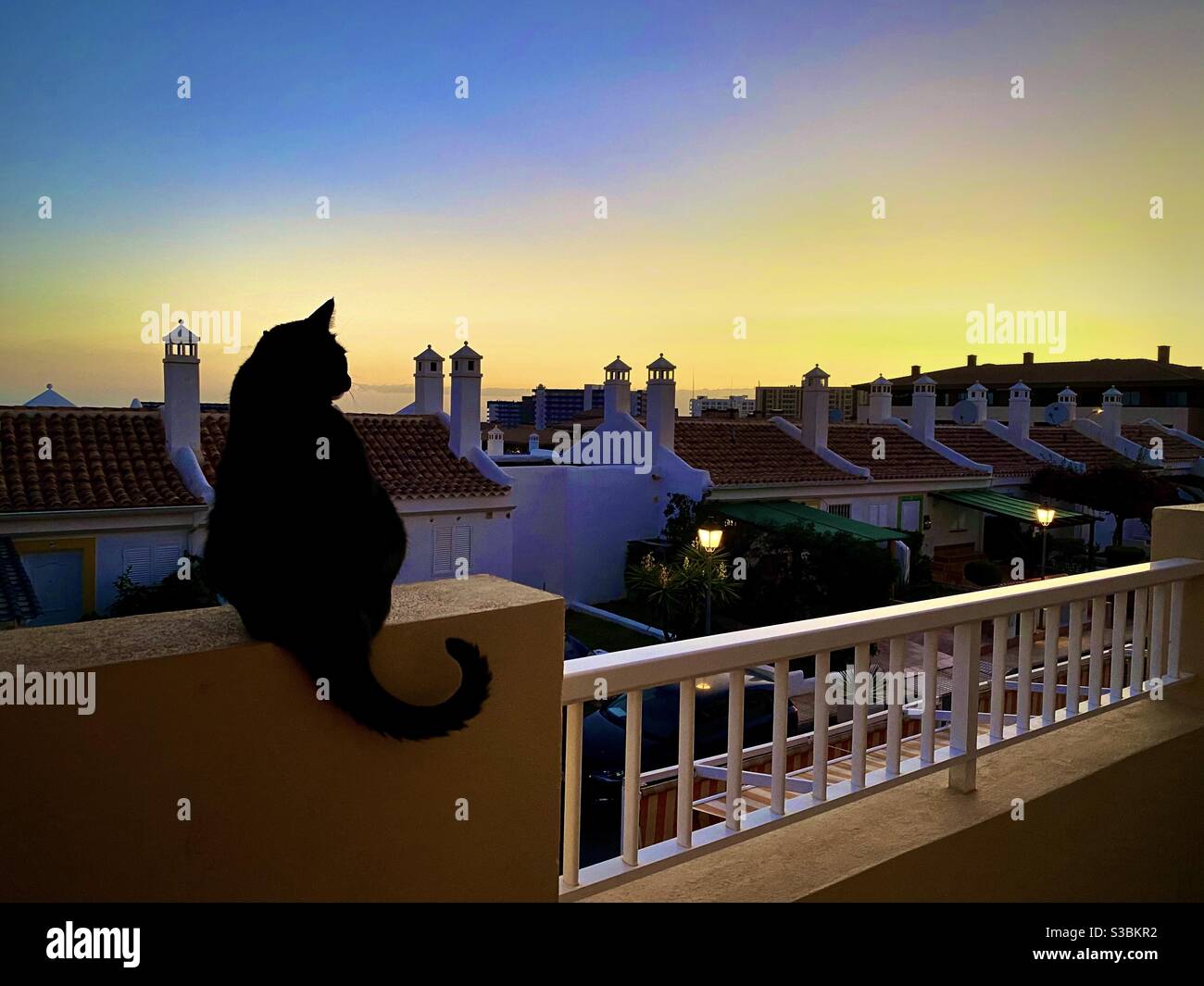 Gato del sol hi-res stock photography and images - Alamy