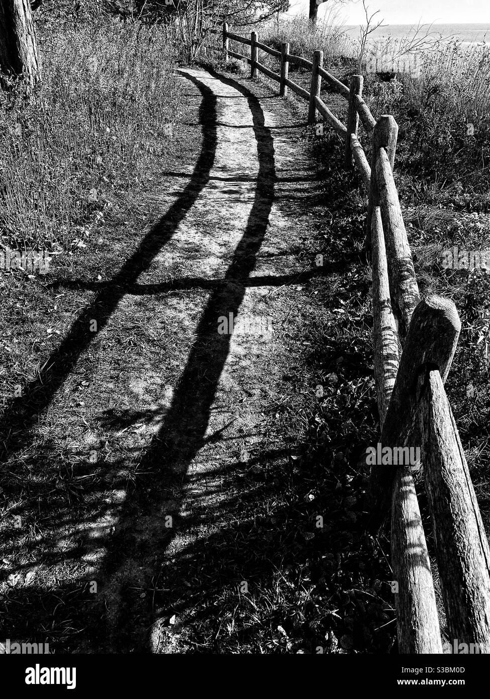 White shadow Black and White Stock Photos & Images - Alamy