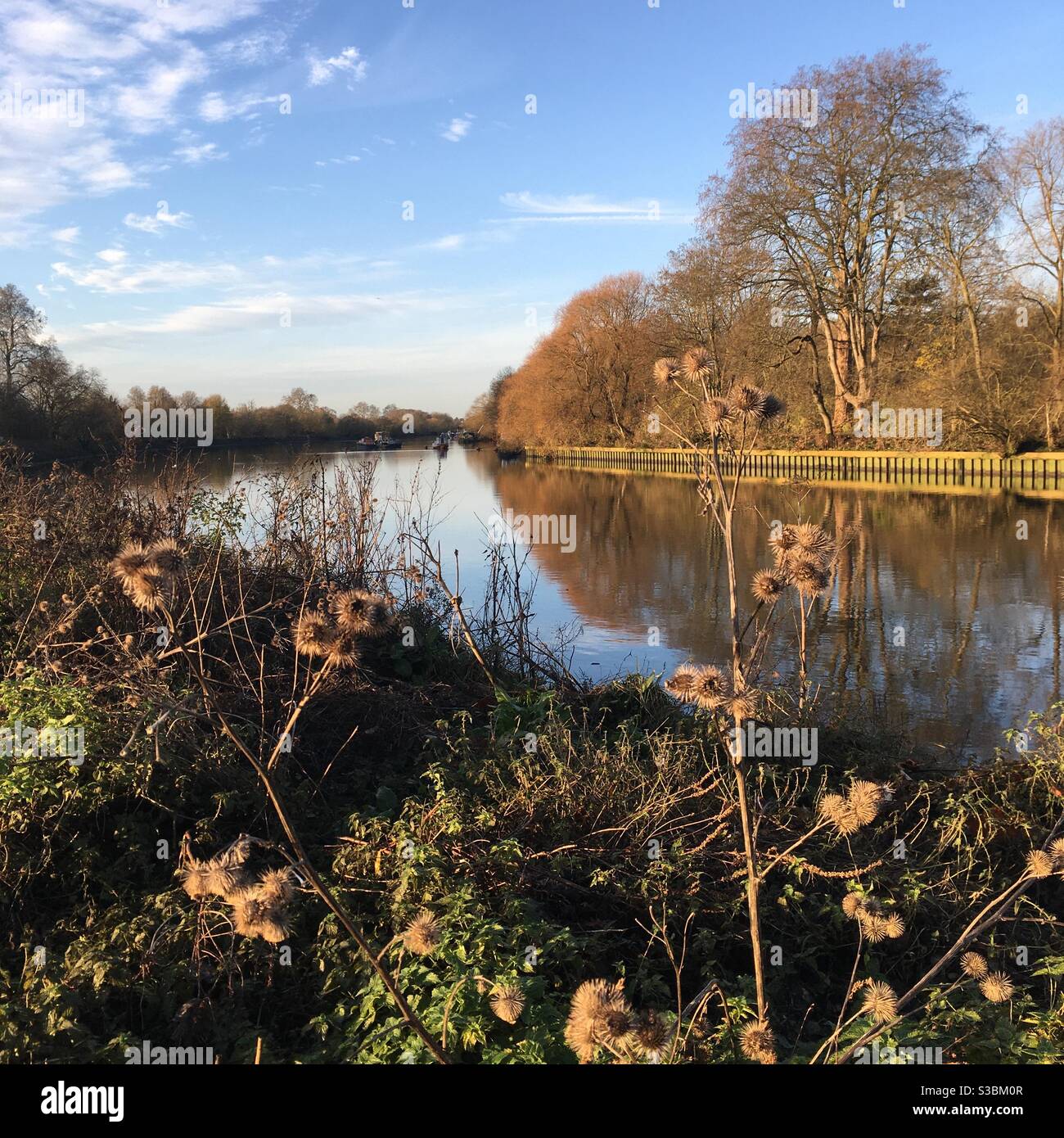 Petersham riverside hi-res stock photography and images - Alamy
