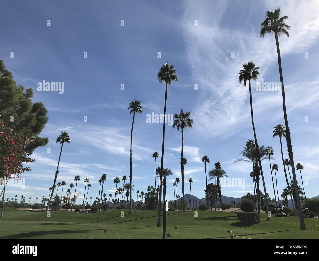 Summer gold course hi-res stock photography and images - Alamy