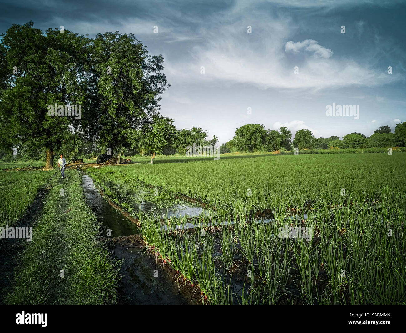 Beautiful Farmland Pictures