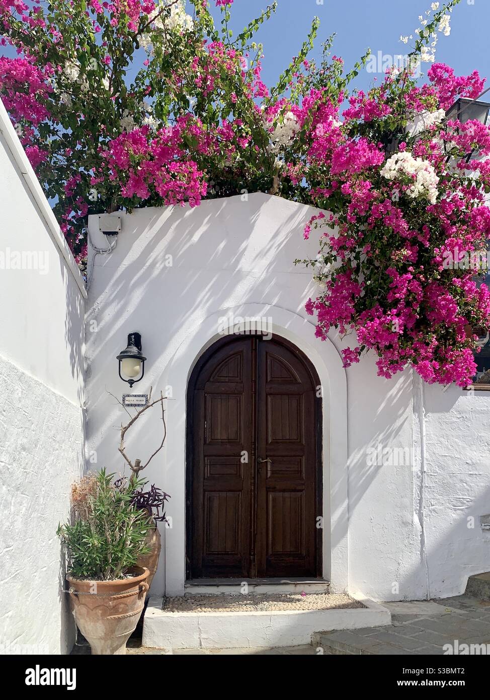 Bougainvilla flowers on a house in Lindos, Rhodes Stock Photo - Alamy