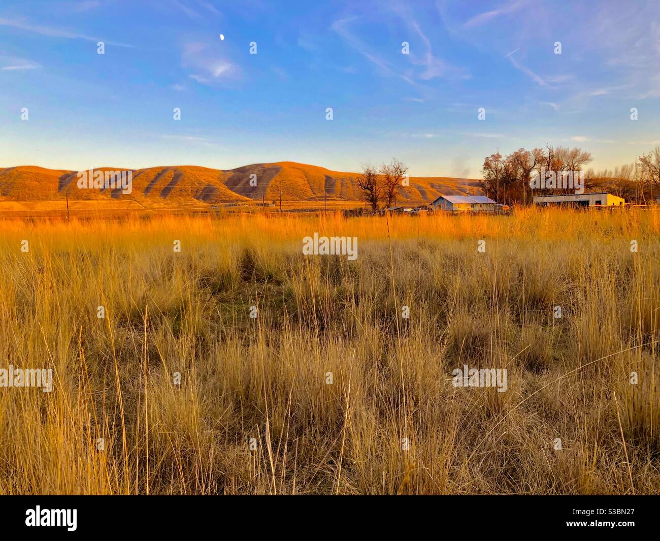Prairie grass hi-res stock photography and images - Alamy