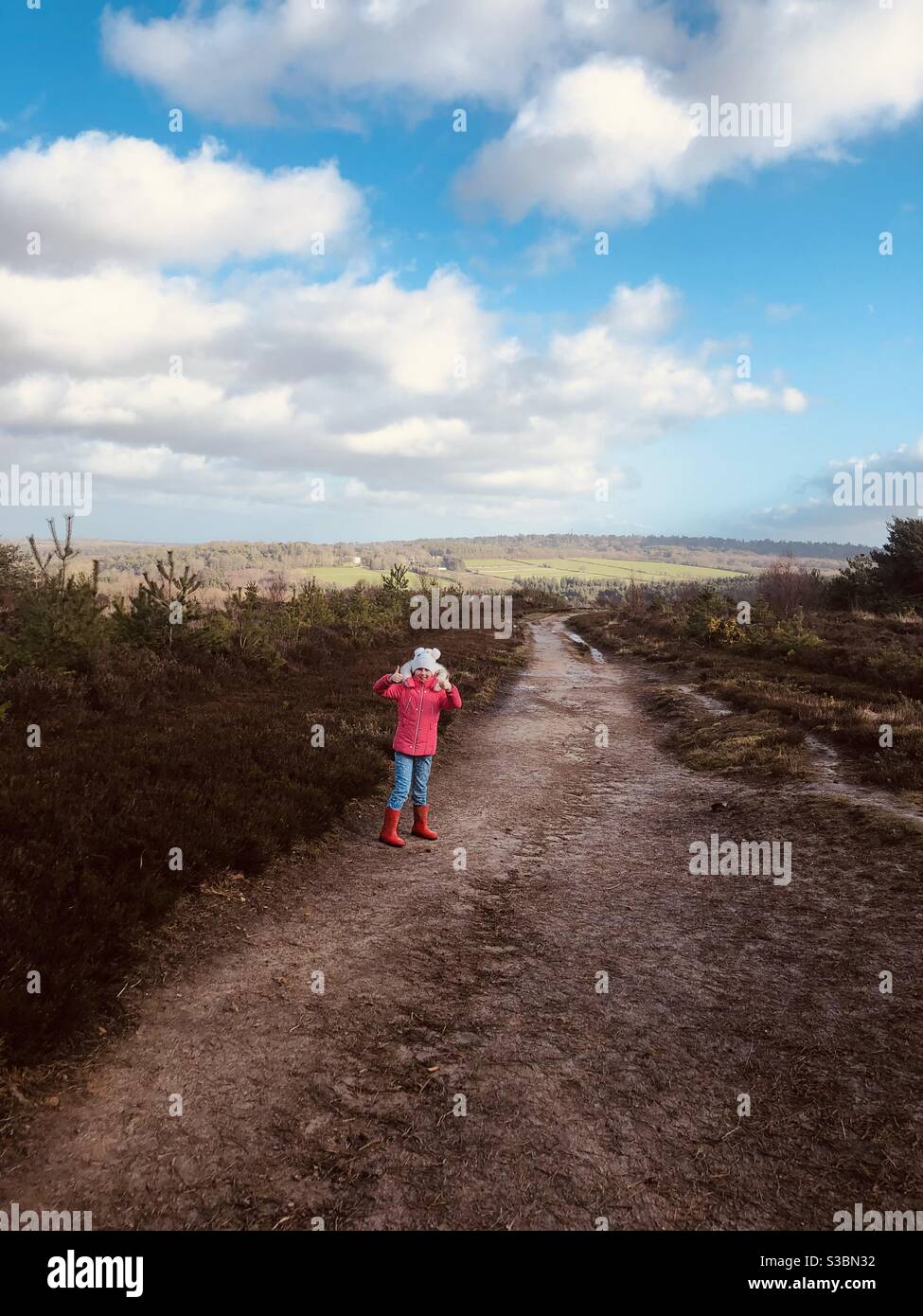 Ashdown forest walks hi-res stock photography and images - Alamy
