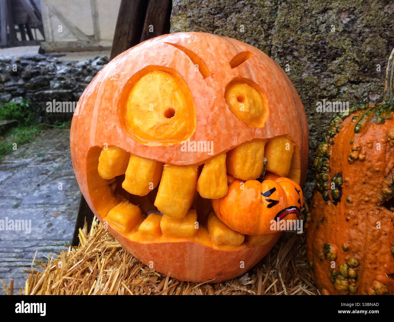 Halloween humour hi-res stock photography and images - Alamy