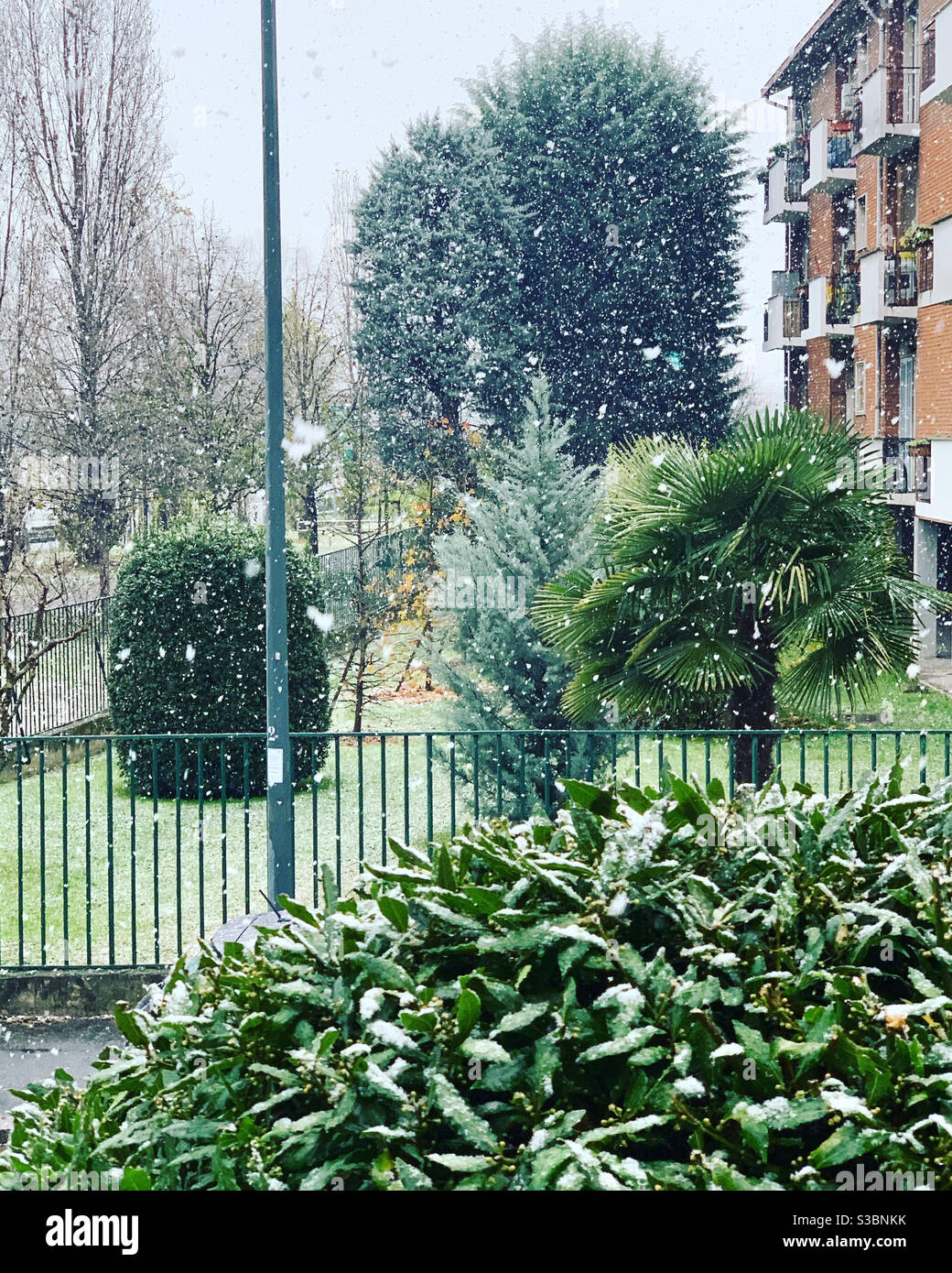 Snowing. Milano, Italy Stock Photo - Alamy