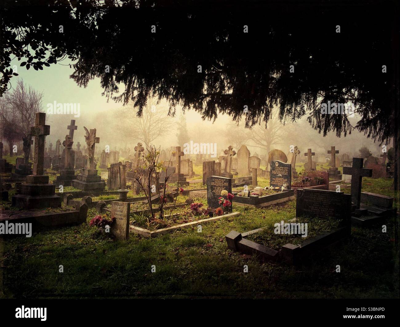 Creepy cemetery hi-res stock photography and images - Alamy