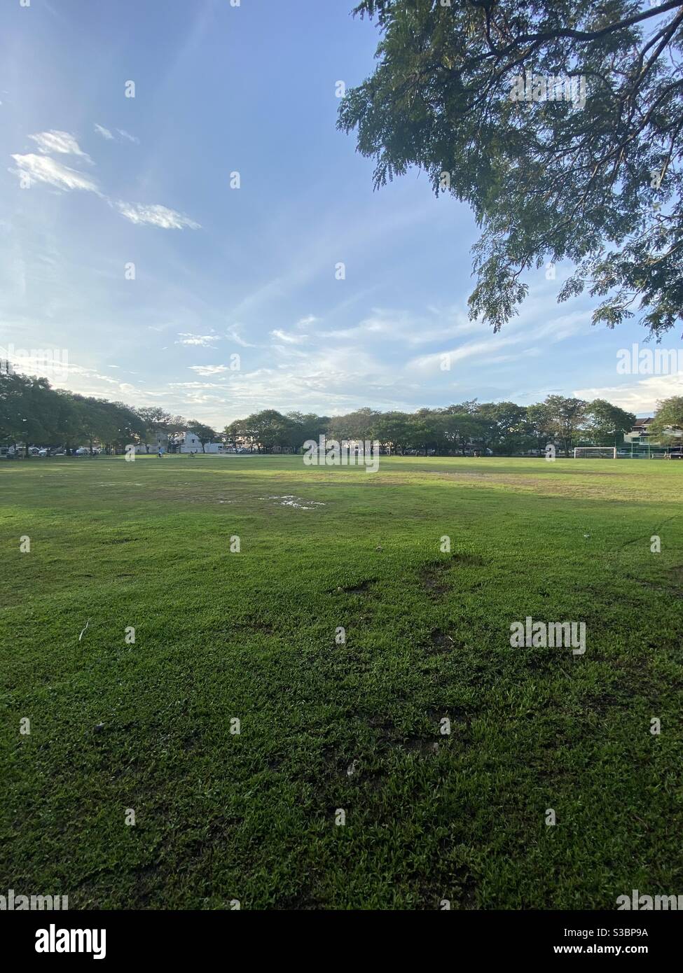 football field 2020 Stock Photo - Alamy