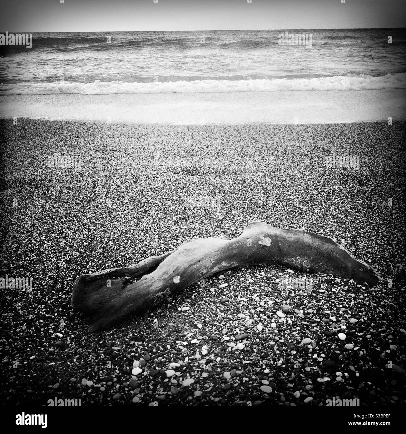 Peace of wood washed ashore Stock Photo - Alamy