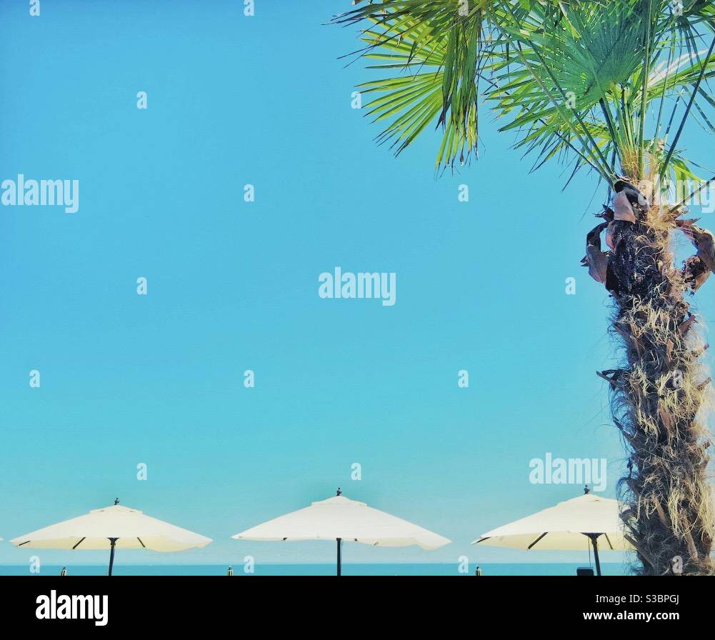 Parasols at a holiday beach Stock Photo - Alamy