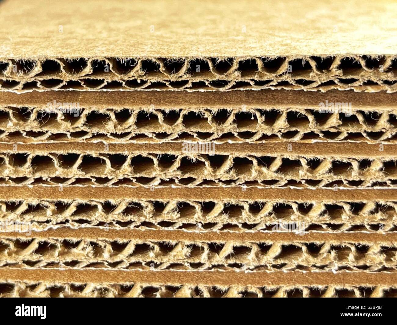 Layers of people hi-res stock photography and images - Alamy