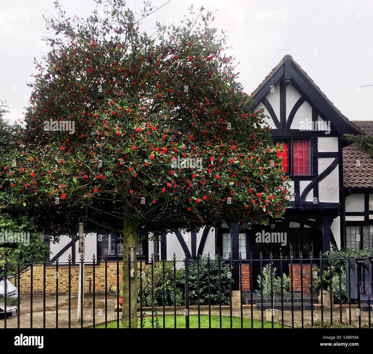 Holly House High Resolution Stock Photography and Images - Alamy
