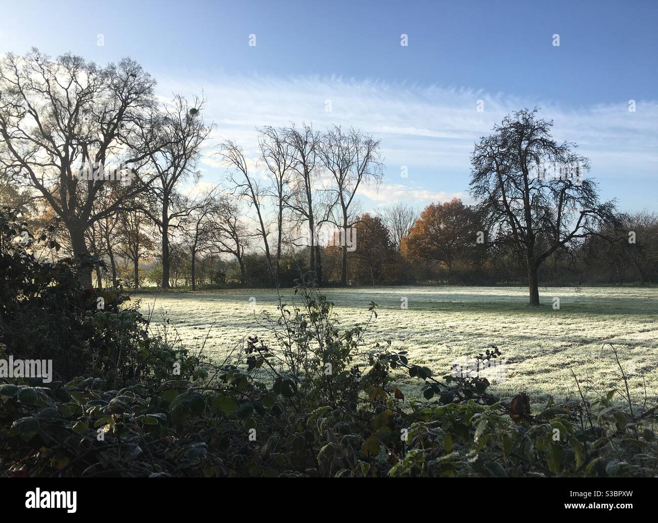 Frosty field hi-res stock photography and images - Alamy