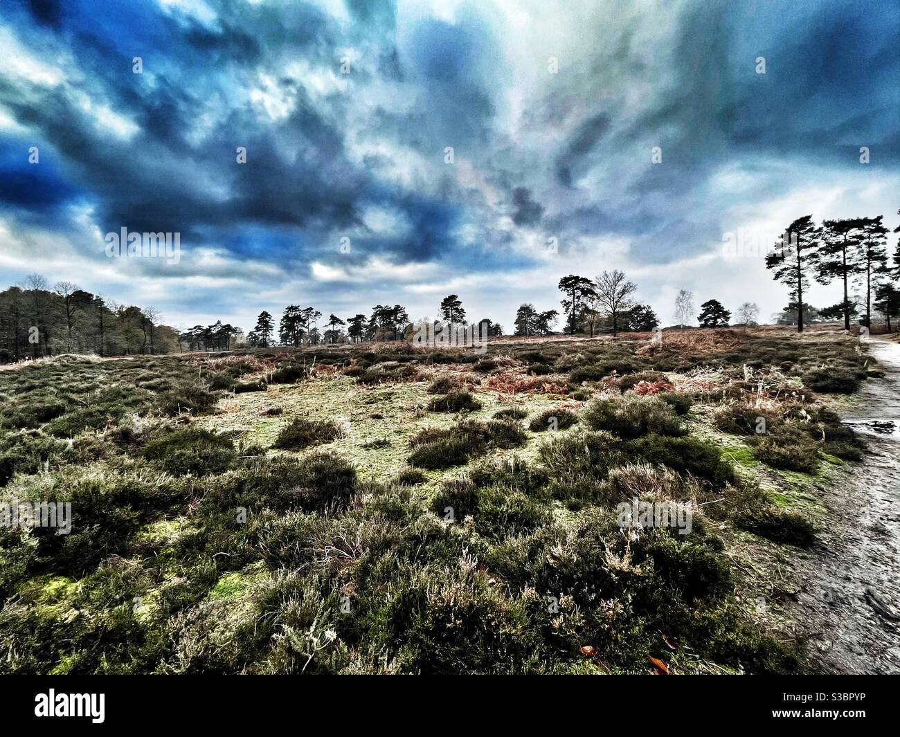 Sutton heath hi-res stock photography and images - Alamy