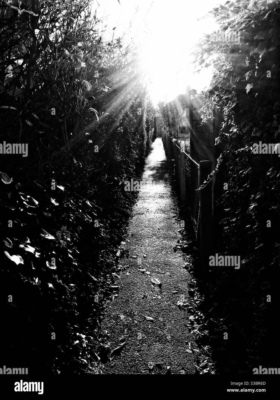 Strong sun and shade Black and White Stock Photos & Images - Alamy