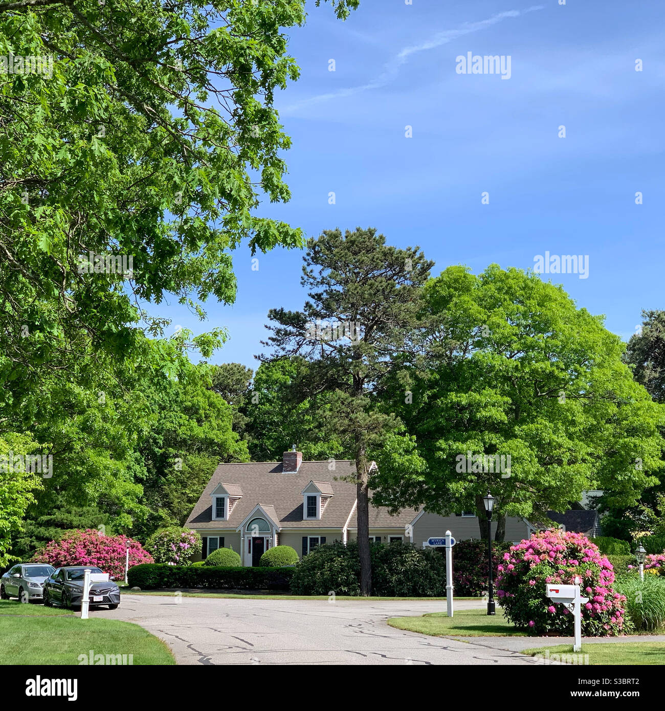 A housing development on Cape Cod, Massachusetts, United States Stock ...