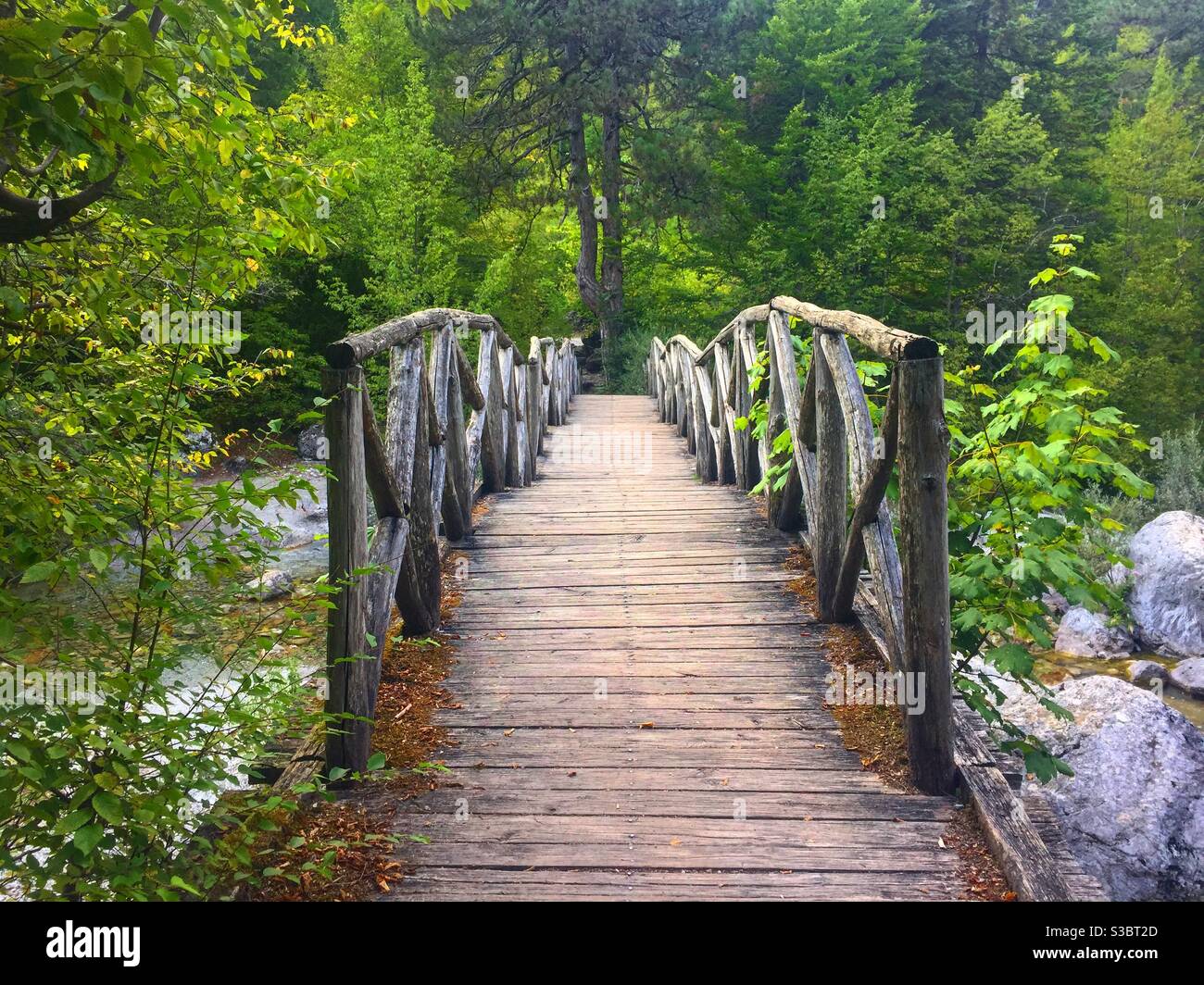 Bridge to life hi-res stock photography and images - Alamy