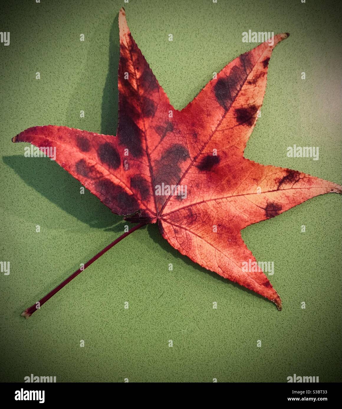 Green counter hi-res stock photography and images - Alamy