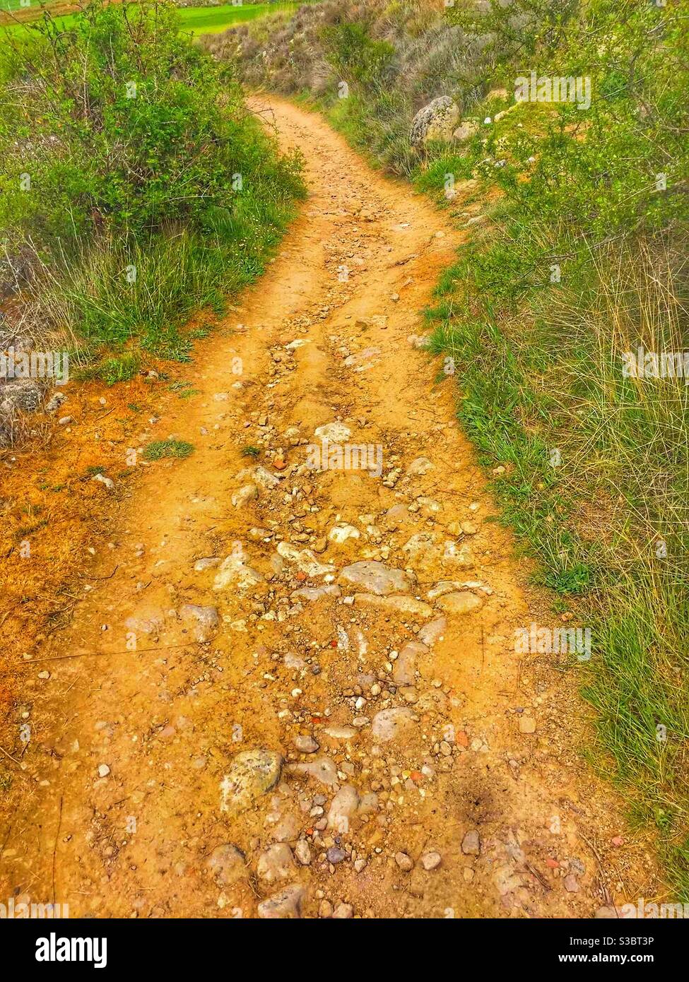 The long and winding road on a path in the Happy Camp Hiking Trail in ...