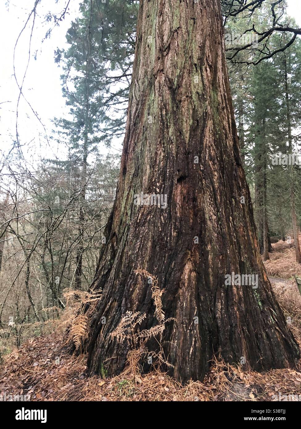 Wakehurst place hi-res stock photography and images - Alamy