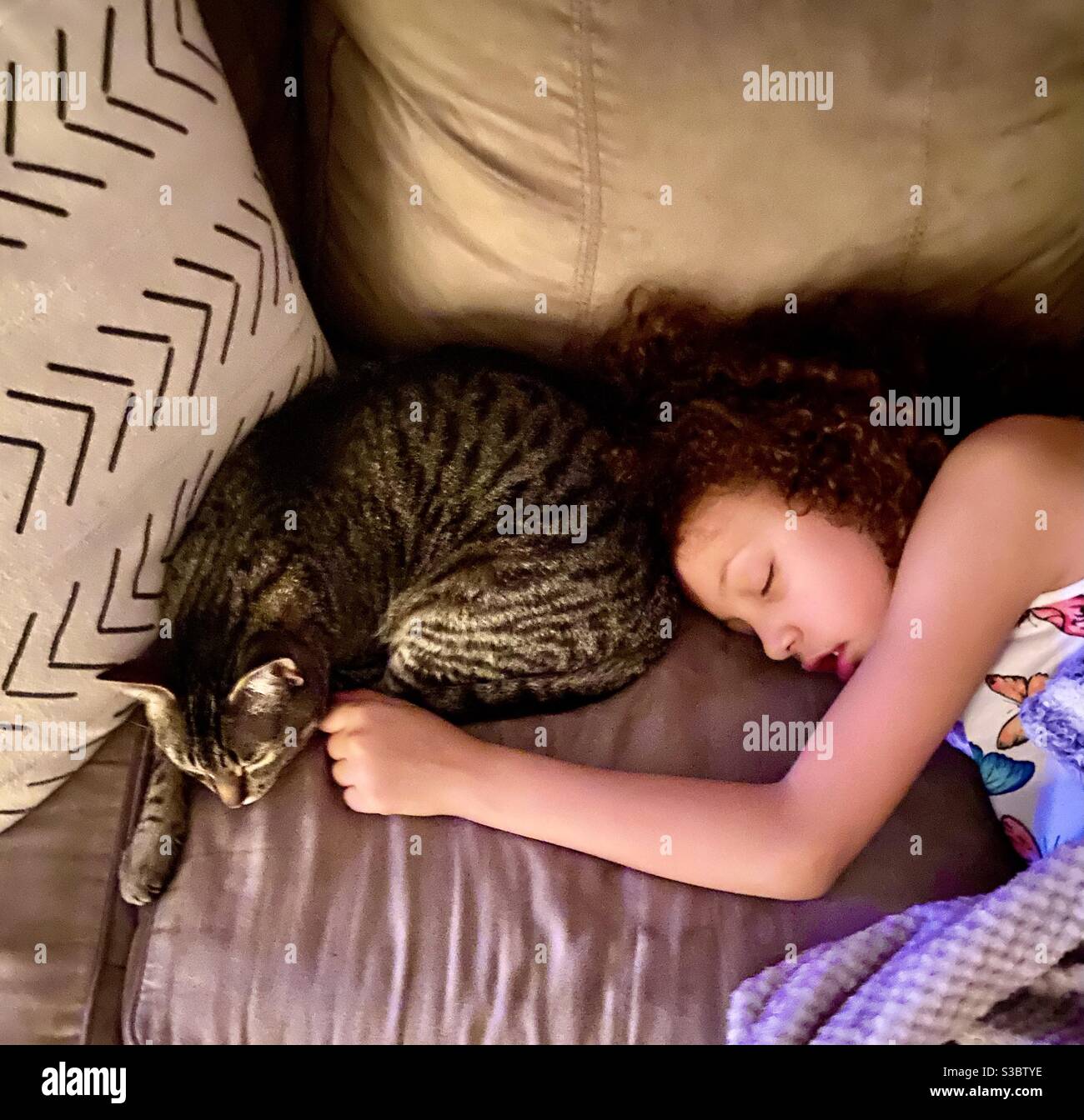 A sleeping girl and her cat Stock Photo - Alamy