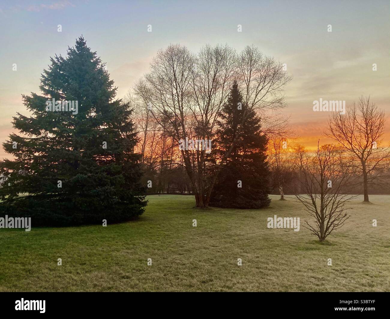 Sunrise and trees Stock Photo - Alamy