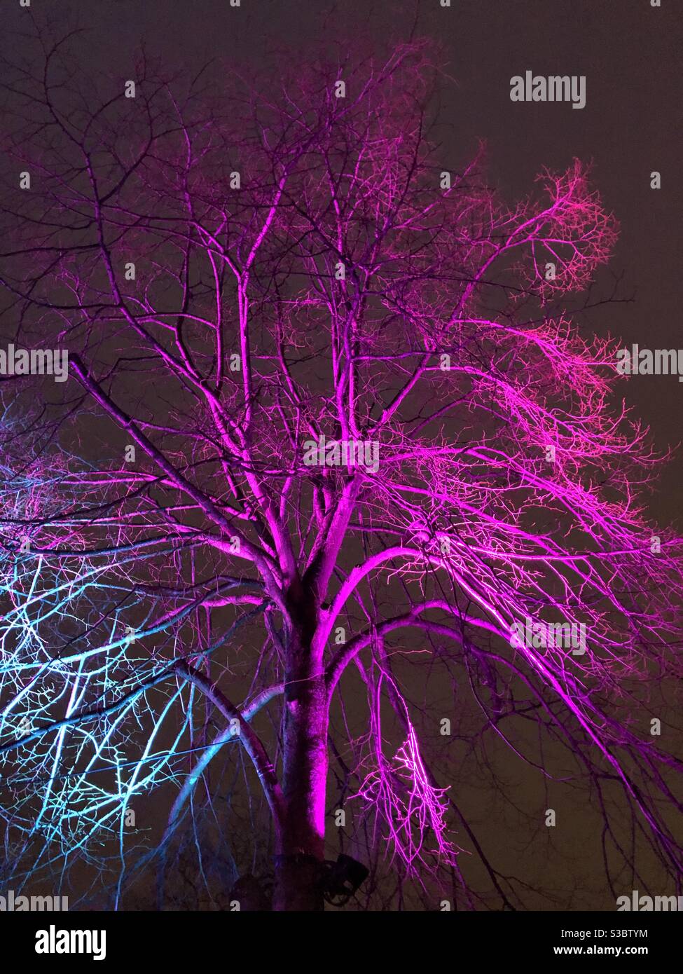 Christmas tree light up hi-res stock photography and images - Alamy