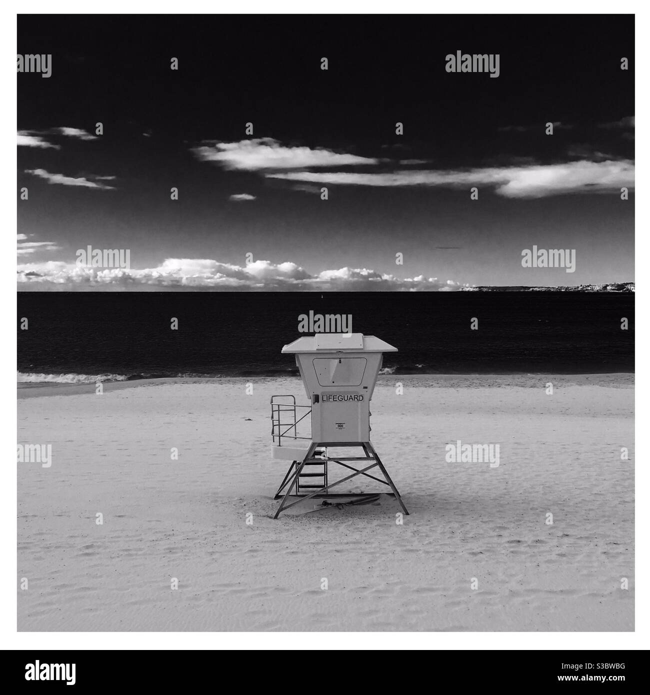 Sydney lifeguard hi-res stock photography and images - Alamy