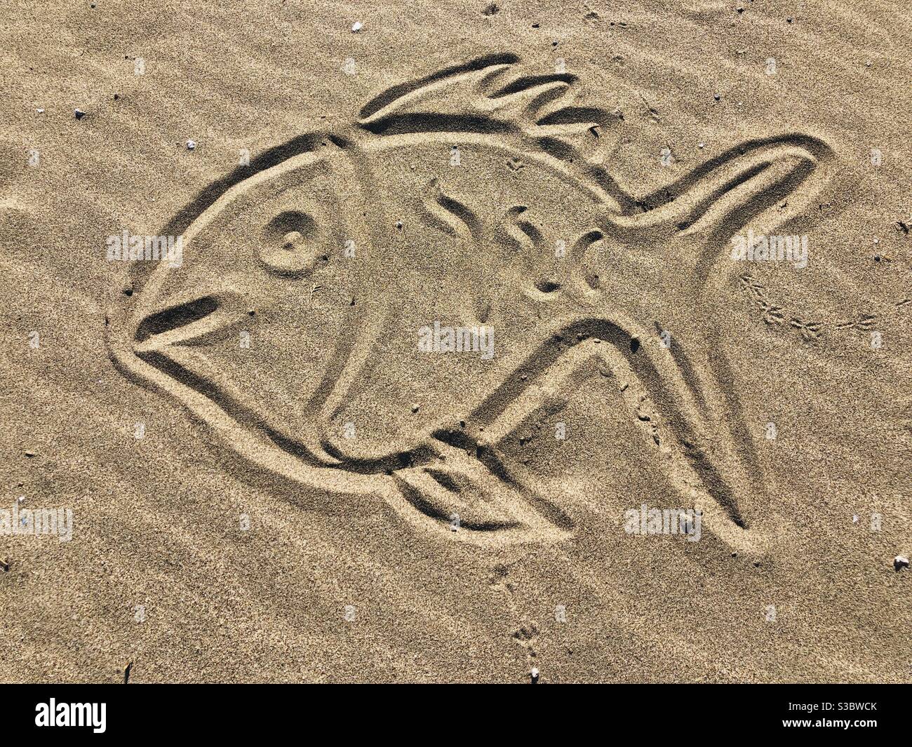 Fish shape on sand Stock Photo - Alamy