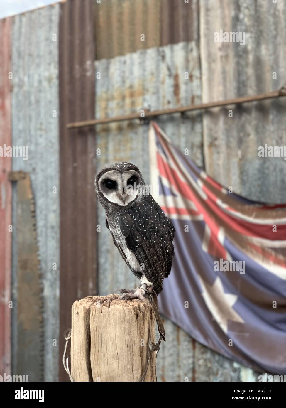 From perth hi-res stock photography and images - Alamy